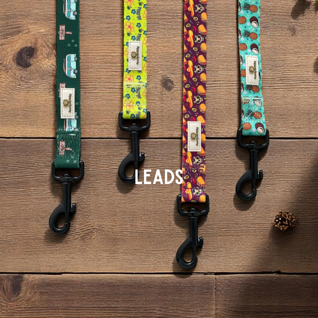 Leashes – Paws by the Valley