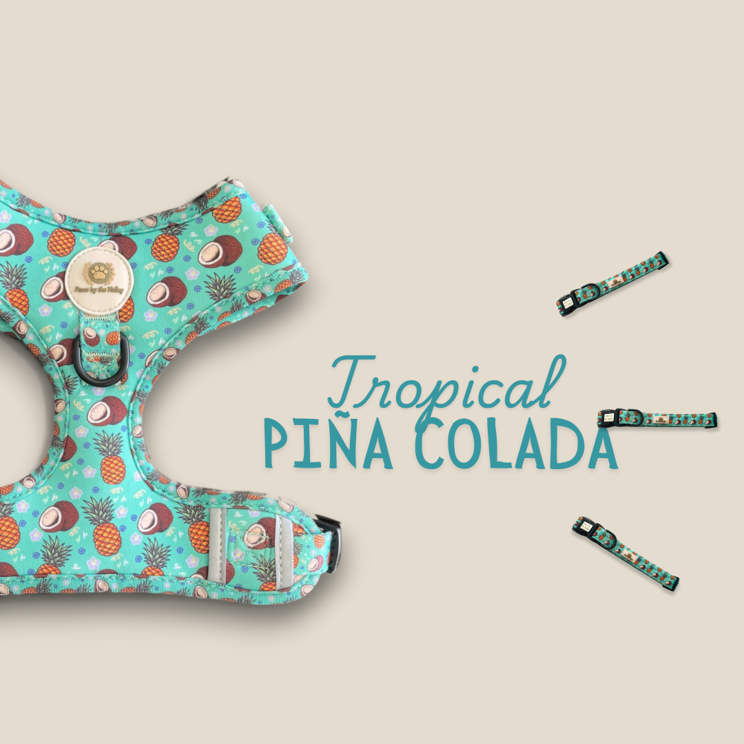 Tropical Piña Colada – Paws by the Valley